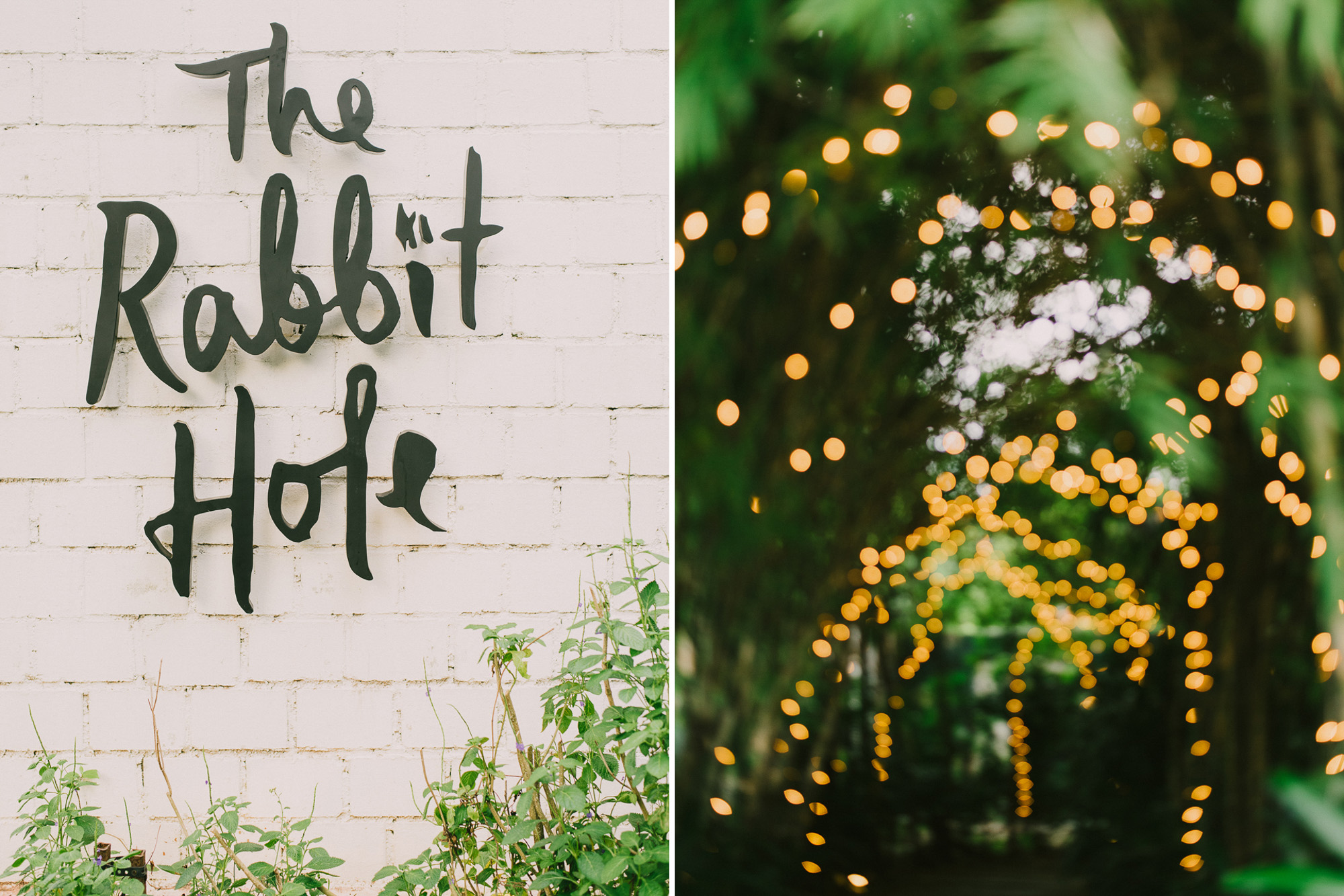 White Rabbit Wedding Review: Packages, Price and Menu