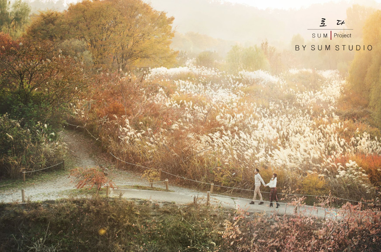 Korea Pre-Wedding Photography: Which Season Suits You Best?