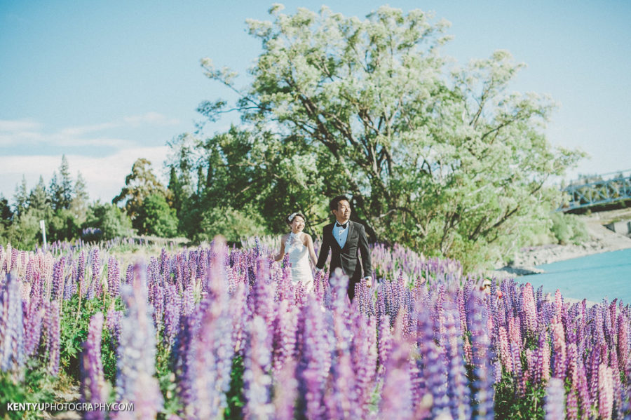 10 Breathtaking Proposal Locations That Will Charm Her Into Saying "YES ...