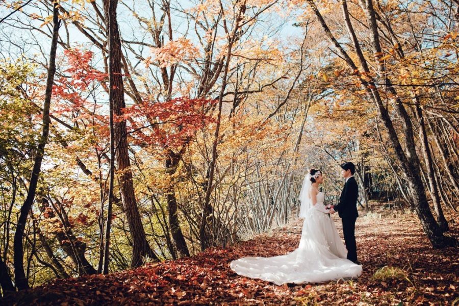 Japan Pre-Wedding Photoshoot Package: Prices, Reviews & More ...