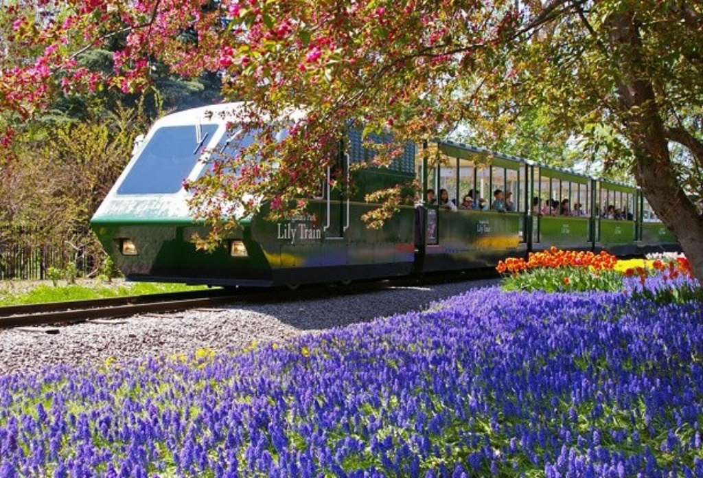 Ultimate Guide To The 8 Flower Fields You Need To Visit In Hokkaido ...