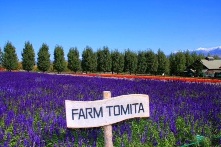 Ultimate Guide To The 8 Flower Fields You Need To Visit In Hokkaido ...