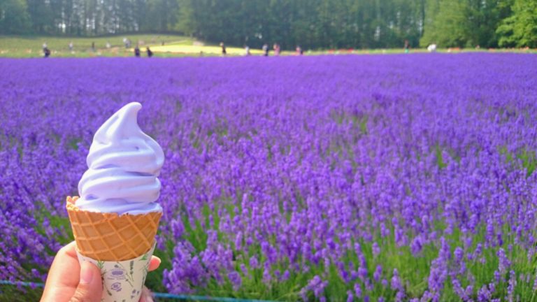 Ultimate Guide To The 8 Flower Fields You Need To Visit In Hokkaido ...