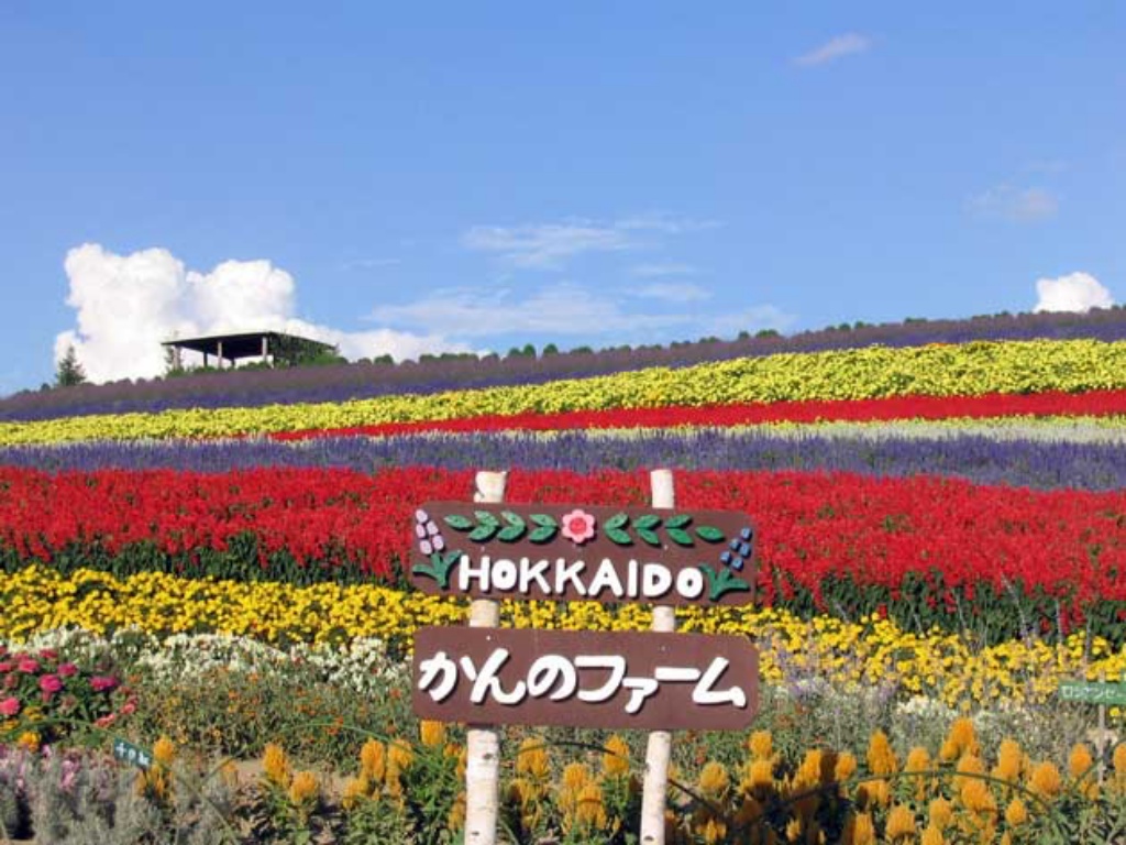 Ultimate Guide To The 8 Flower Fields You Need To Visit In Hokkaido ...