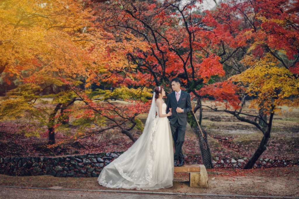 Japan Pre-wedding: Top 9 Places To Catch The Blazing Autumn Foliage In ...