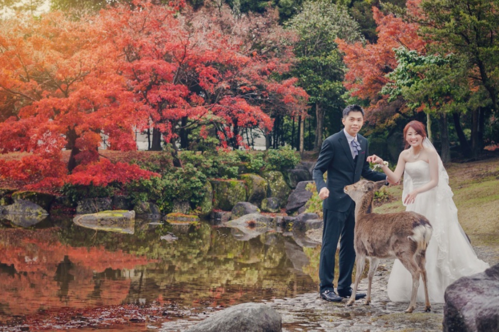 Japan Pre-wedding: Top 9 Places To Catch The Blazing Autumn Foliage In ...