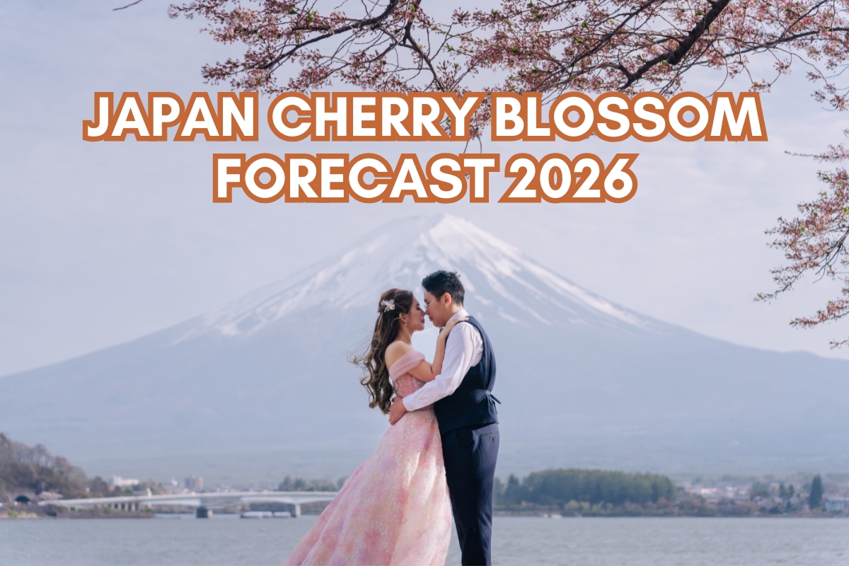 Japan Sakura Forecast 2026: Best Spots in Tokyo & Kyoto
