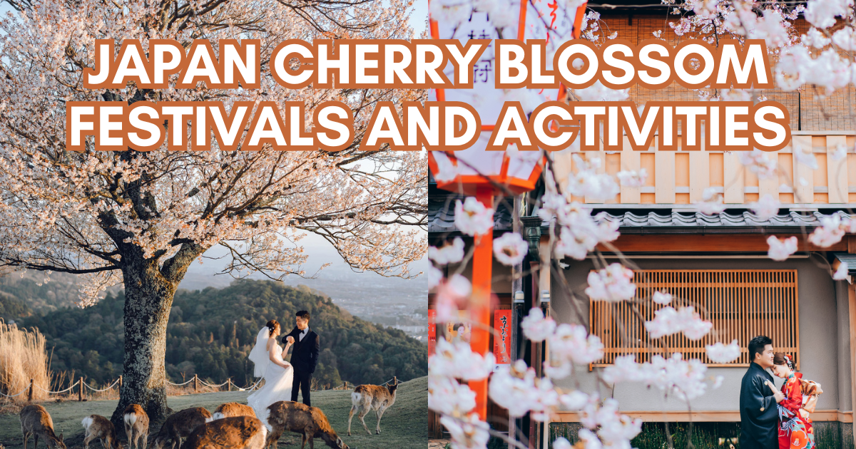 5 Festivals and Activities to Look Out for During Cherry Blossom Season ...