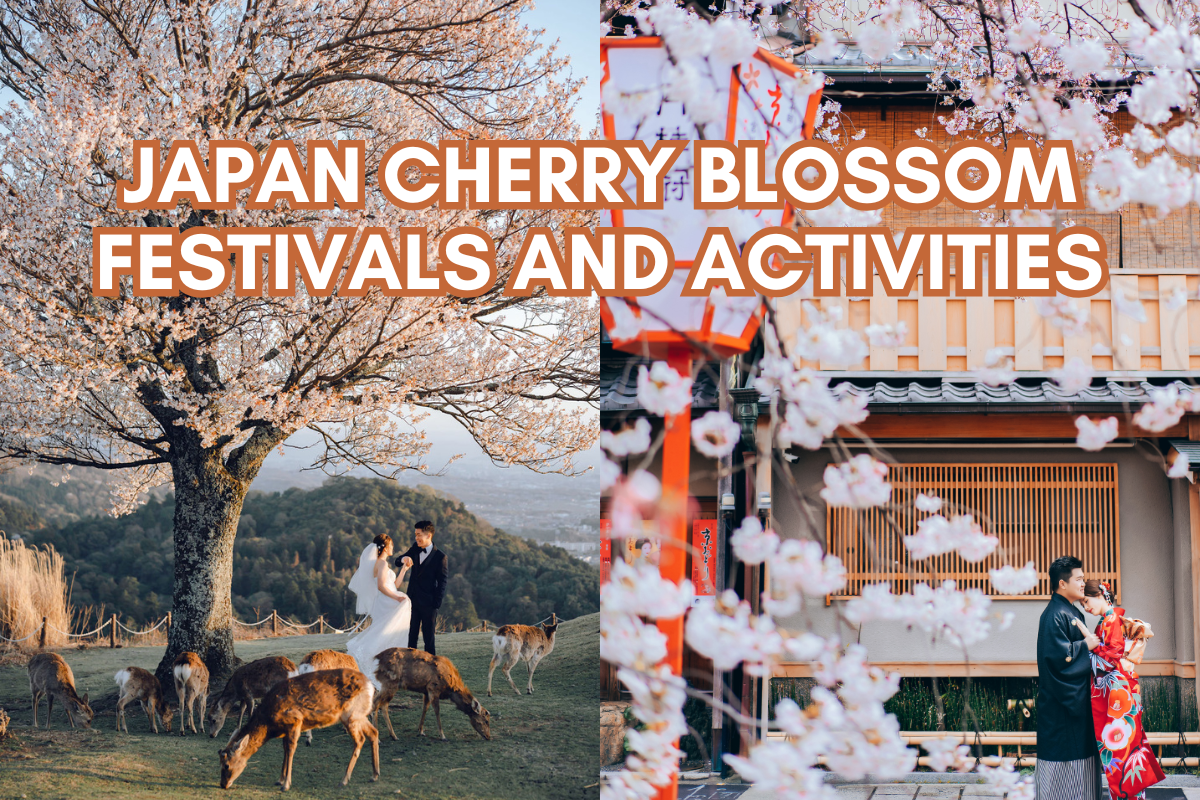 5 Festivals and Activities to Look Out for During Cherry Blossom Season ...